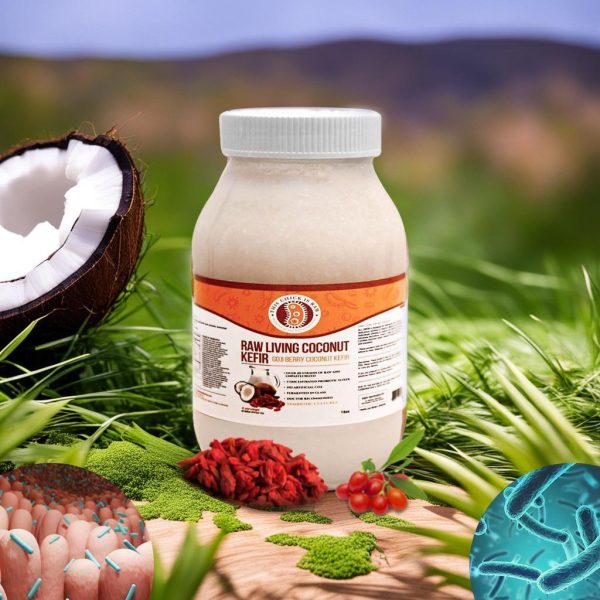 Goji Berry Raw Living Coconut Milk Kefir - This Chick is Raw